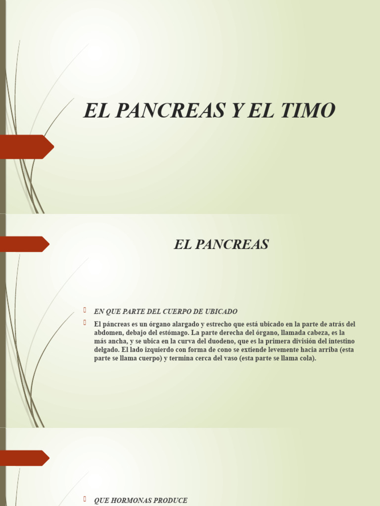 El Pancreas y El Timo | PDF | Páncreas | Digestión