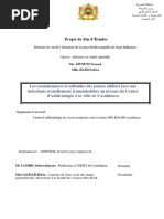 Guide du PFE à l'ISPITS Oujda | PDF | Allaitement | Microsoft Word