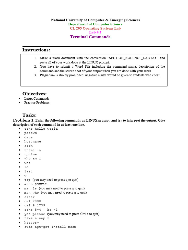 Lab 3- Exercise (Terminal Commands) | PDF | Computer Terminal | Computer File
