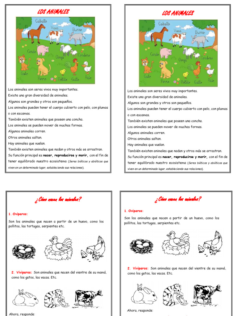 Ficha Los Animales - Grado Primero | PDF | Habitat | Plantas