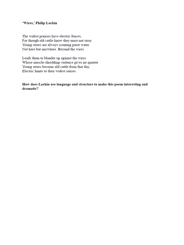 Analyzing Larkin's "Wires" Poem | PDF