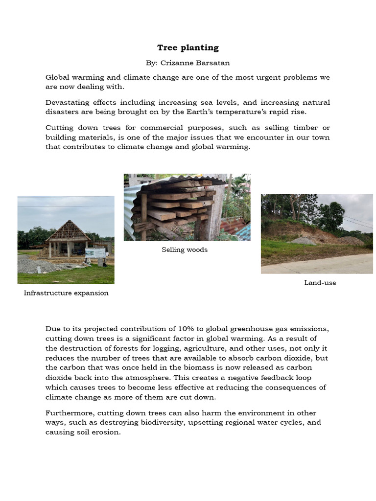 Tree Planting | PDF | Climate Change | Global Environmental Issues