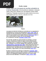 Pez rosado con manos: características y hábitat | PDF | Pescado | Zoología