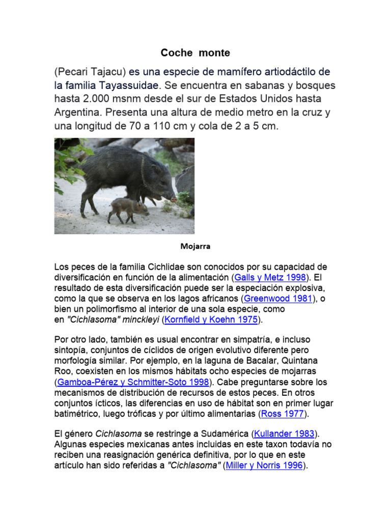 Hábitos alimentarios del guapote | PDF | Pescado | Tigre