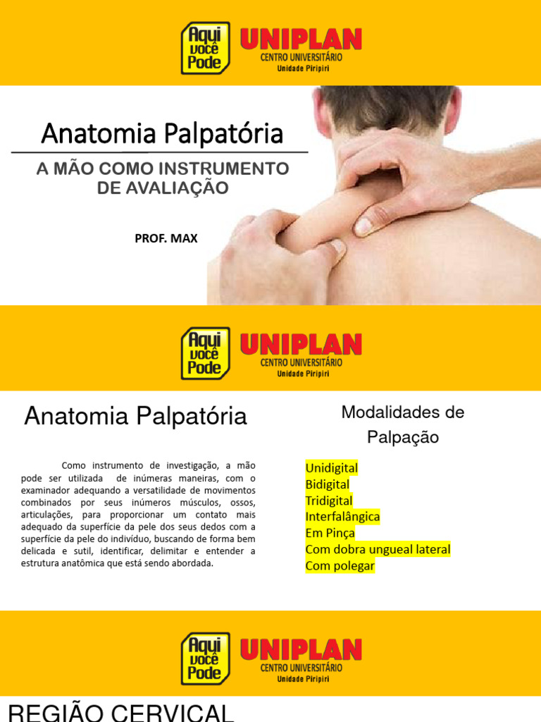 Guia de Palpação para Fisioterapeutas | PDF | Pélvis | Cotovelo
