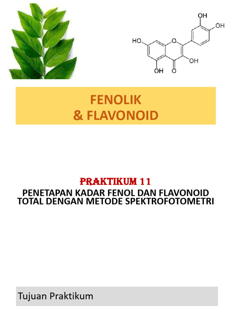 Penetapan Kadar Fenolik dan Flavonoid | PDF