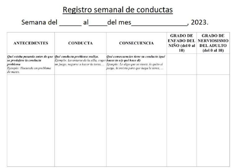 Registro Conducta | PDF