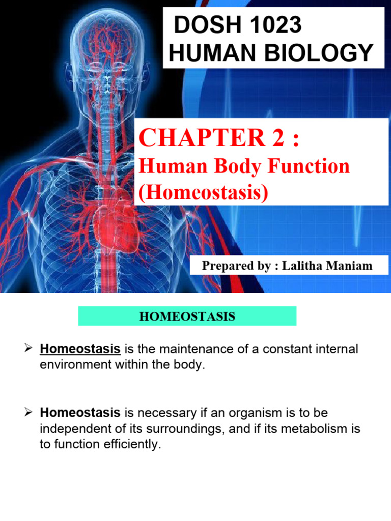 Chapter 2 Human Body Function | PDF | Homeostasis | Thermoregulation
