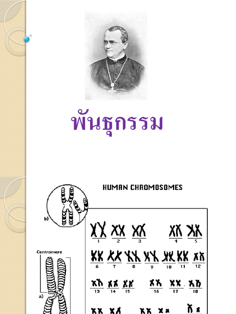 U3 2taitord PPT | PDF