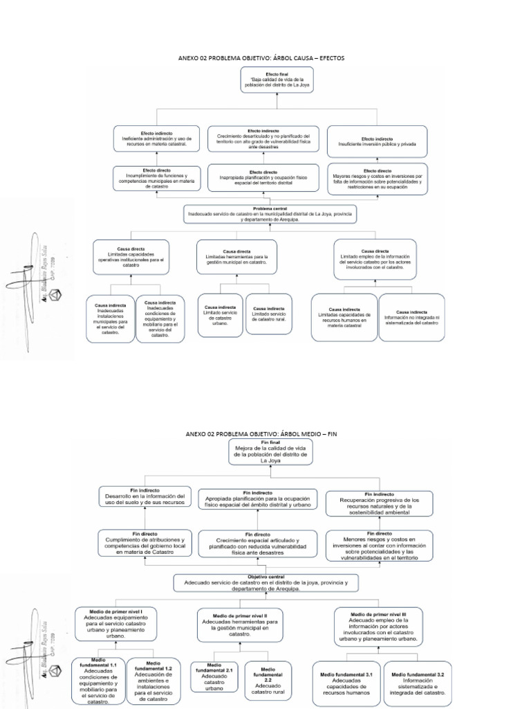 Anexo 02 Problema Objetivo | PDF
