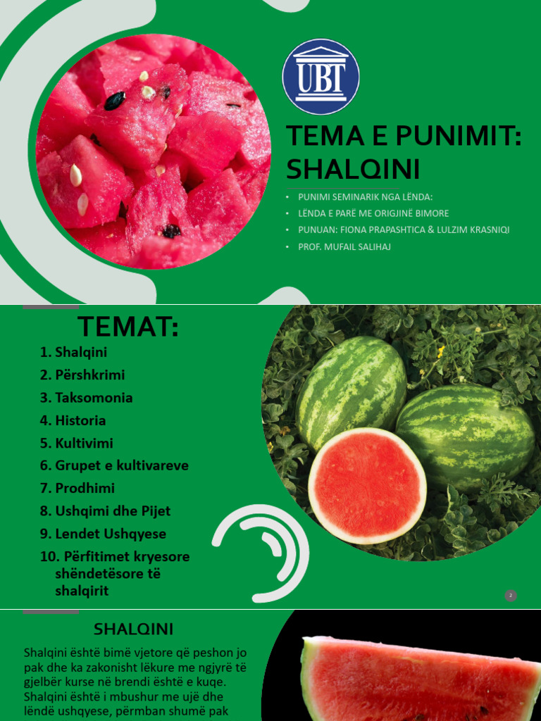 Shalqini-Tema e Punimit | PDF