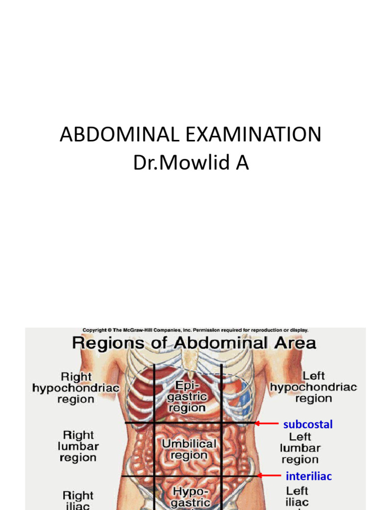 Abdominal Examination | PDF | Abdomen | Spleen
