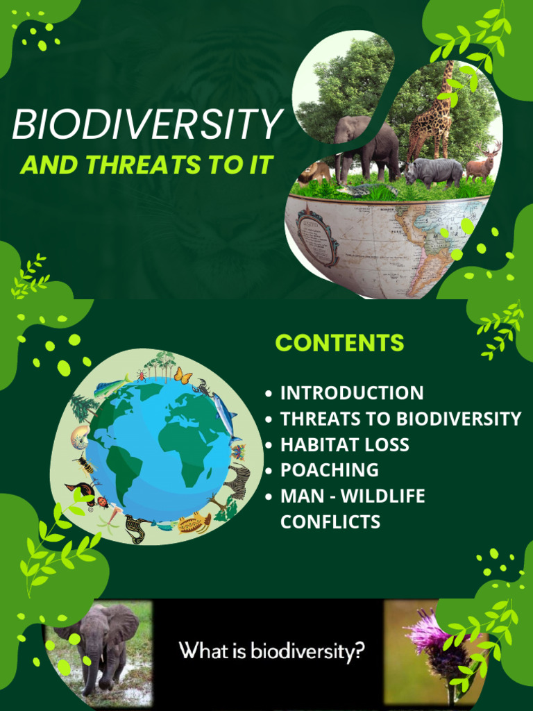 Major Threats to Biodiversity Explained | PDF | Habitat Destruction ...