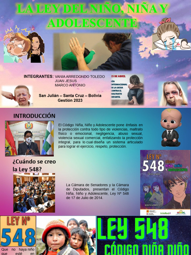 DIAPOSITIVA Ley 548 | PDF