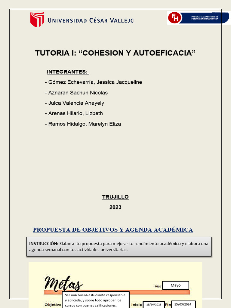Tutoria (Propuesta de Objetivos y Agenda Académica) | PDF