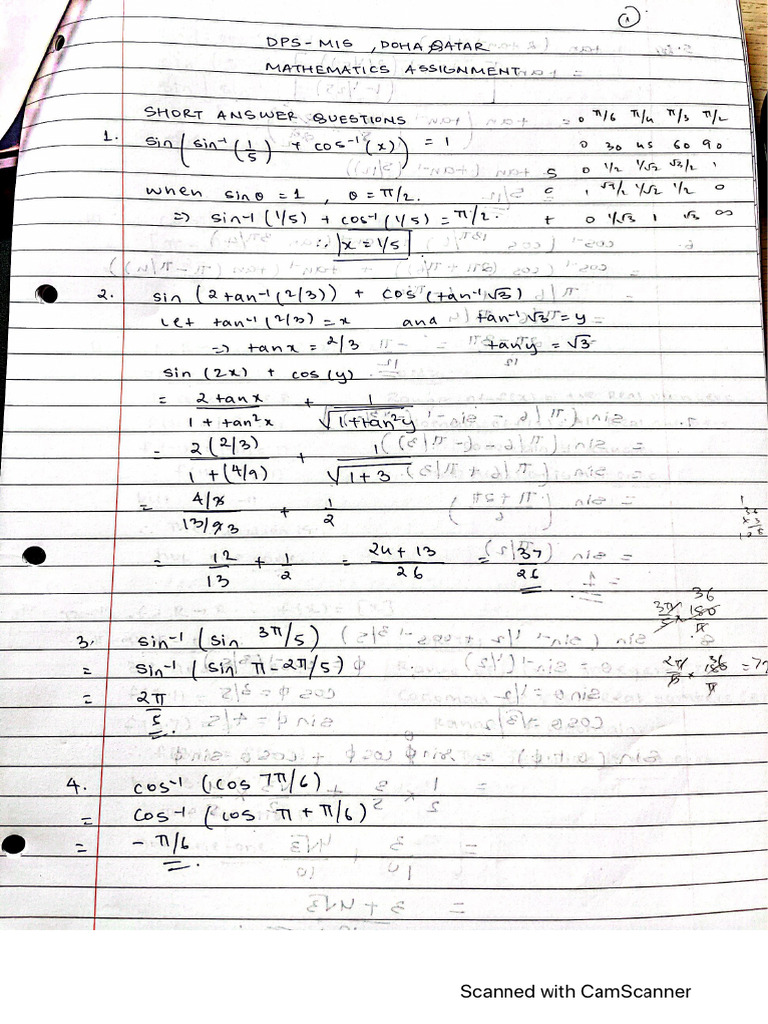 Math Dps Assignment | PDF