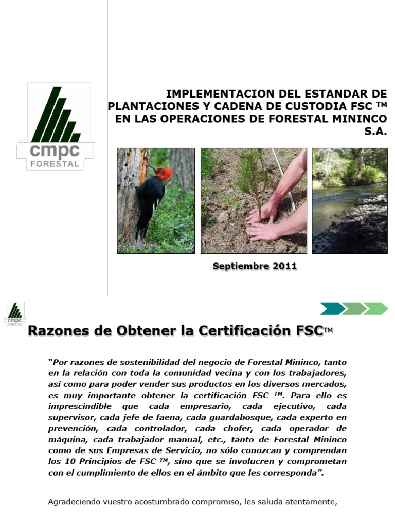 Certificación FSC en Forestal Mininco | PDF | Los bosques | Gestión de ...