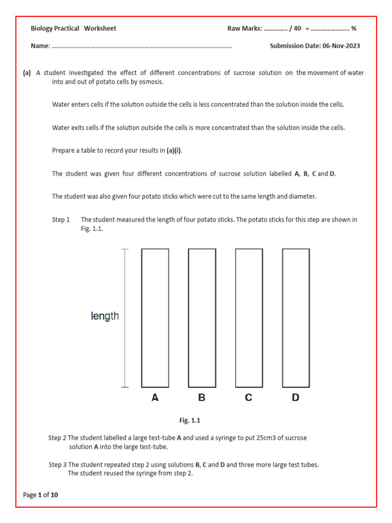 Practical Worksheet | Download Free PDF | Seed | Germination