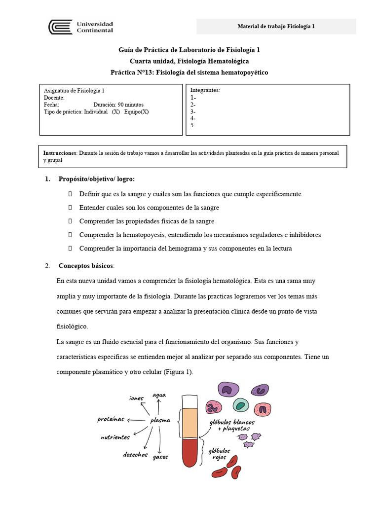 Guia 13 Fisiología Del Sistema Hematopoyético | PDF | Sangre | Leucocito