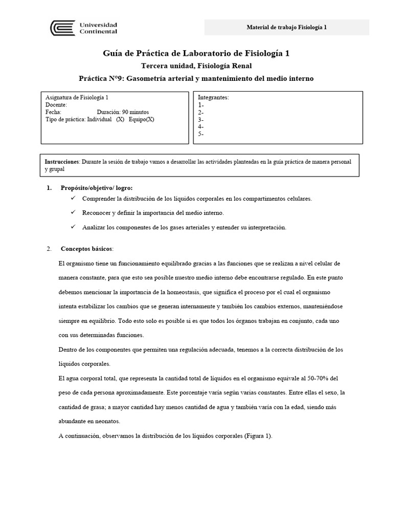 Guia #9 | PDF | Química
