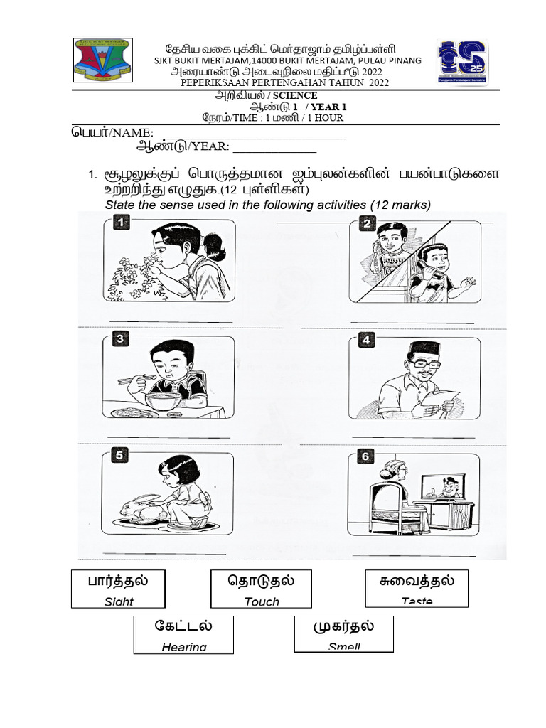 Test Paper Pdf