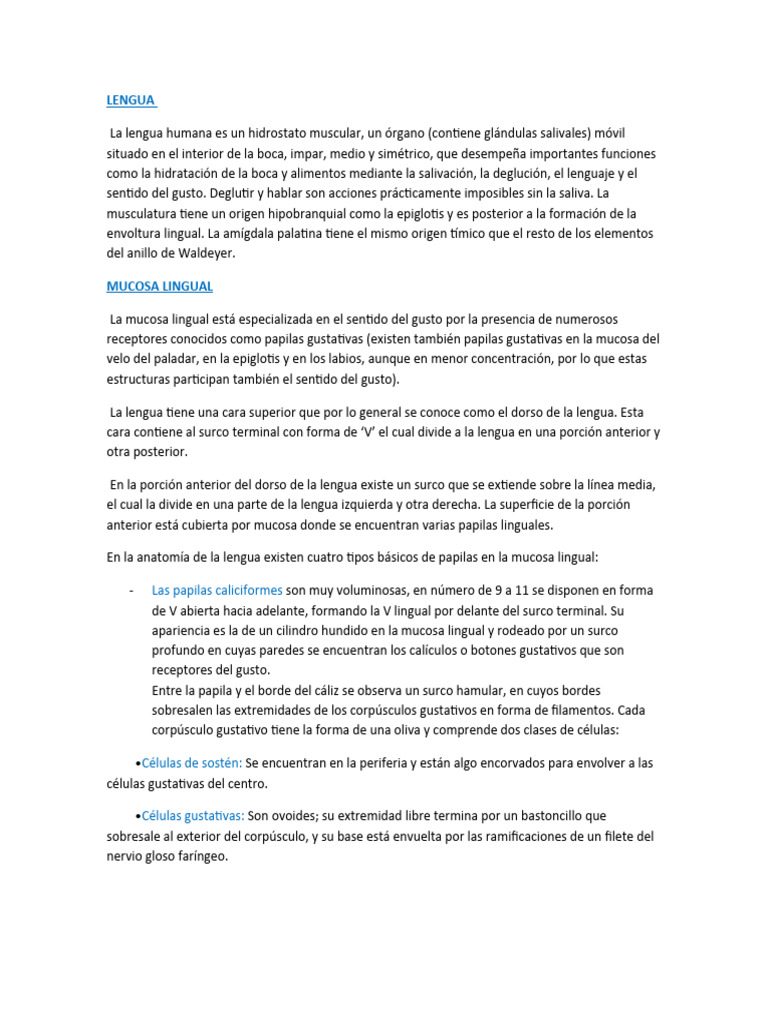 La Lengua | PDF | Lengua | Anatomía humana