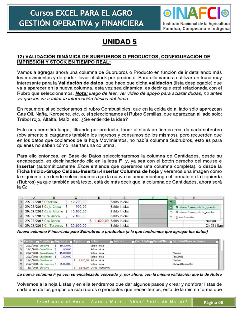 Curso Inafci Gestión Unidad 5 | PDF | Microsoft Excel | Bases de datos