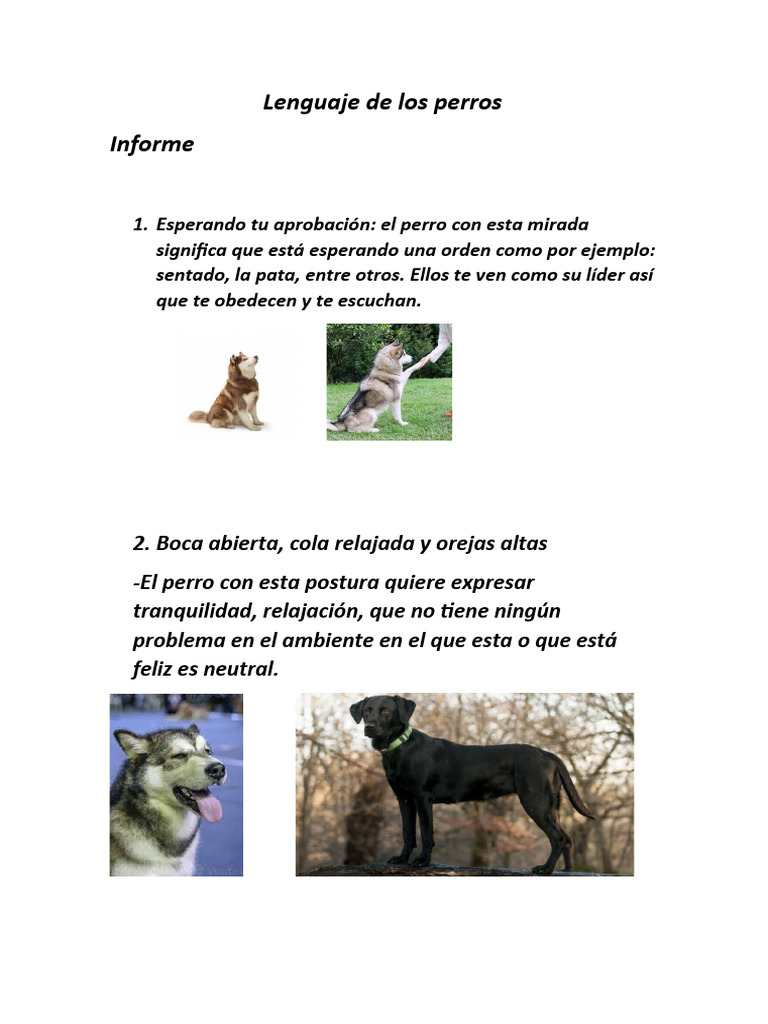 Lenguaje de Los Perros | PDF
