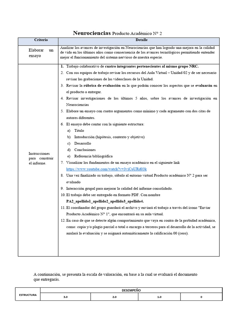 Neuro Bases | PDF | Neurociencia | Ensayos