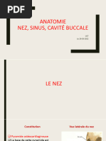 Anat Physio ORL | PDF | Oreille | Système vestibulaire