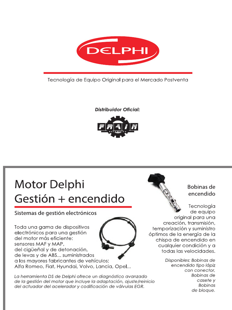 DELPHI Folleto Web | PDF