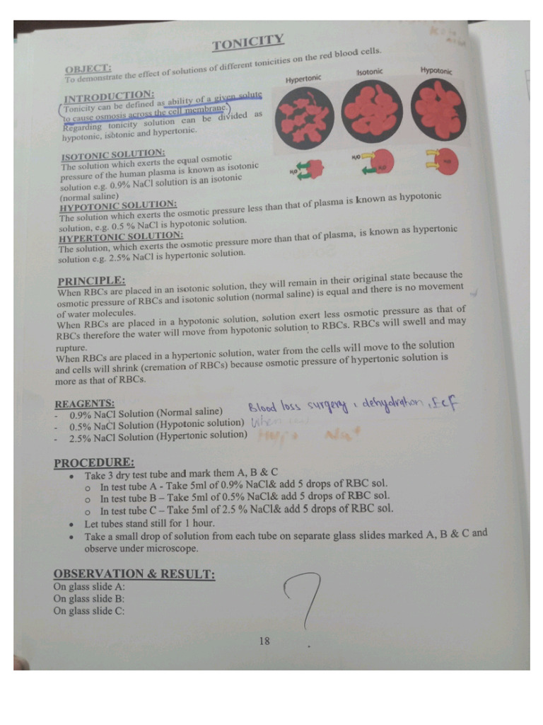 Biochem Practicals | PDF