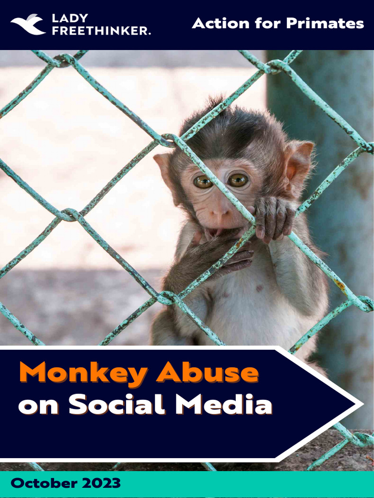 Monkey Abuse on Social Media Report | PDF | Social Media | Popular ...