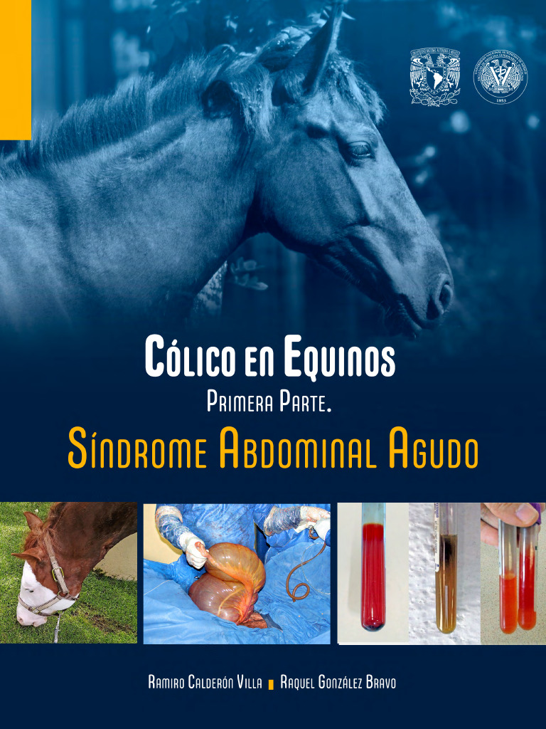 Colico Equinos 1 | PDF | Estómago | Abdomen