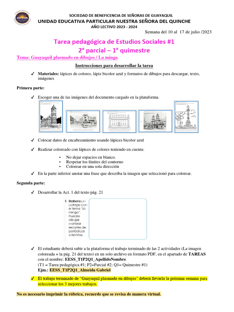 Tarea Pedagógica#1 EESS - 2°P - 1°Q | PDF