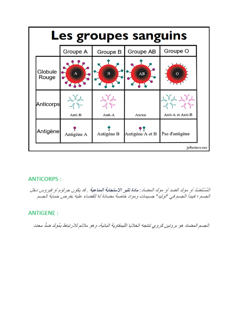 Groupage | PDF