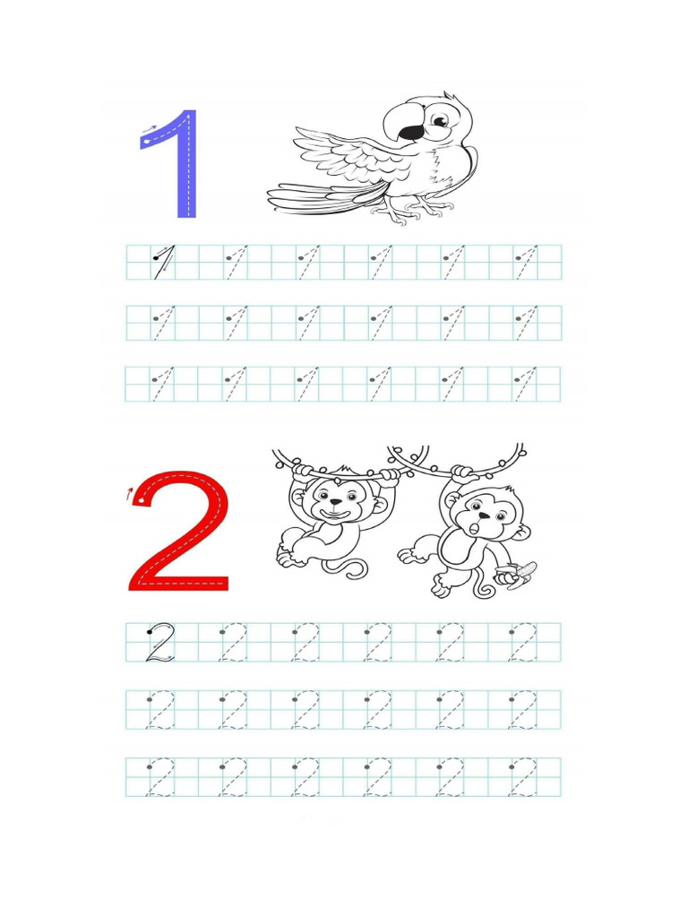 Delinear Los Números | PDF