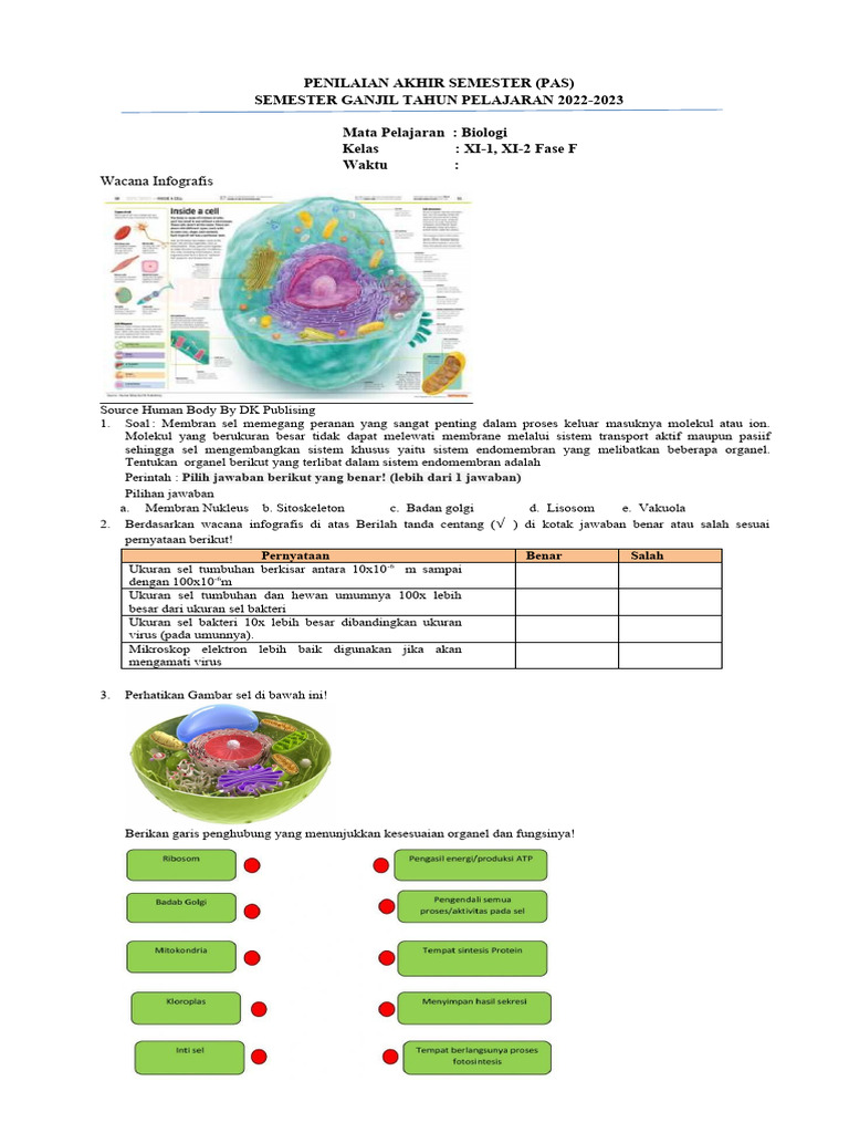 Soal AKM Kelas Xi MWR | PDF | Sains & Matematika