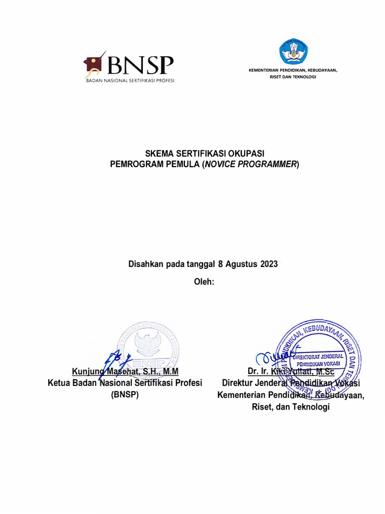Skema Sertifikasi Okupasi Pemrogram Pemula (Novice Programmer) | PDF