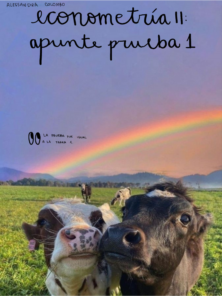 RESUMEN ECONOMETRÍA II Prueba 1 UAI | PDF