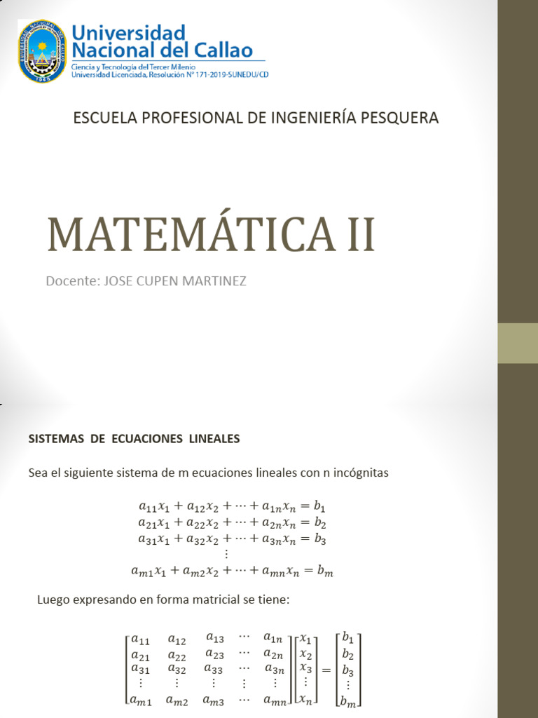 Matematica Ii | PDF | Matriz (Matemáticas) | Ecuaciones