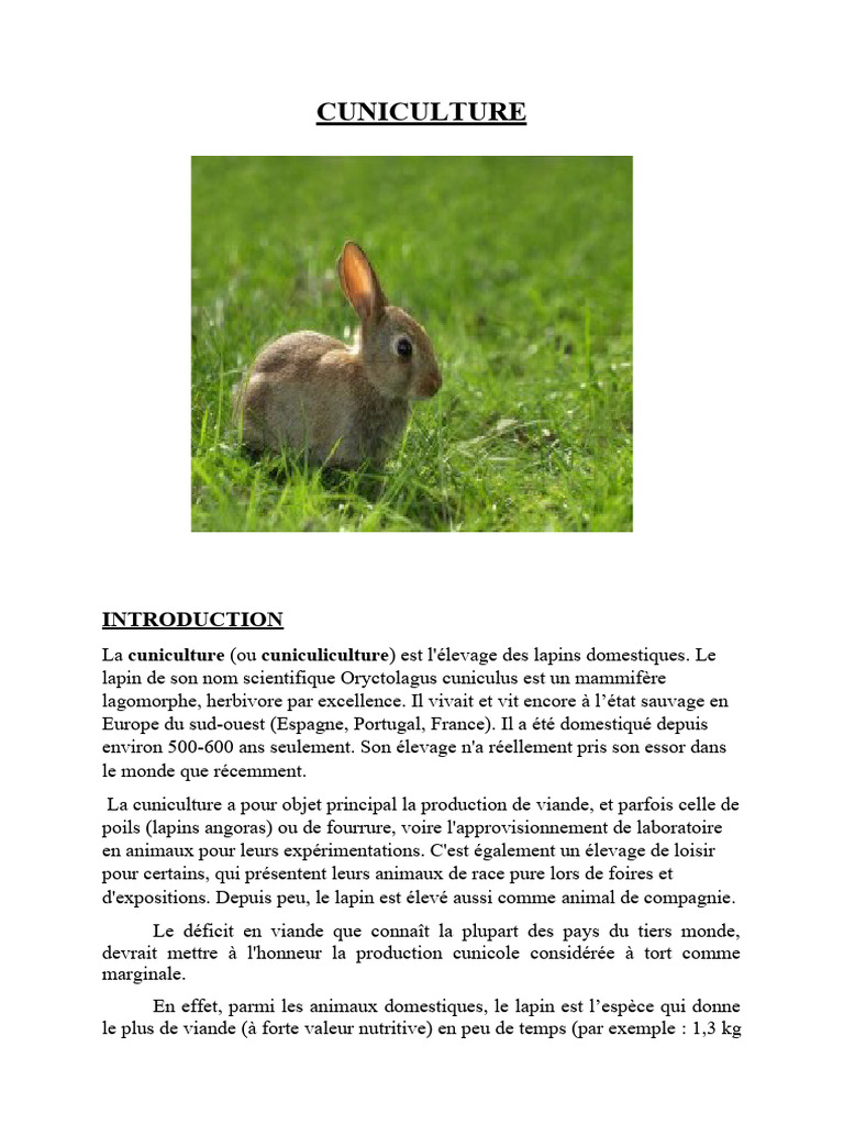 Cuniculture TSE 1 | PDF | Lapin | Domestication