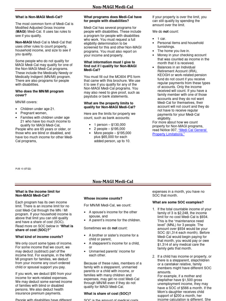 Non-Magi Pub10 | PDF | Stepfamily | Economies