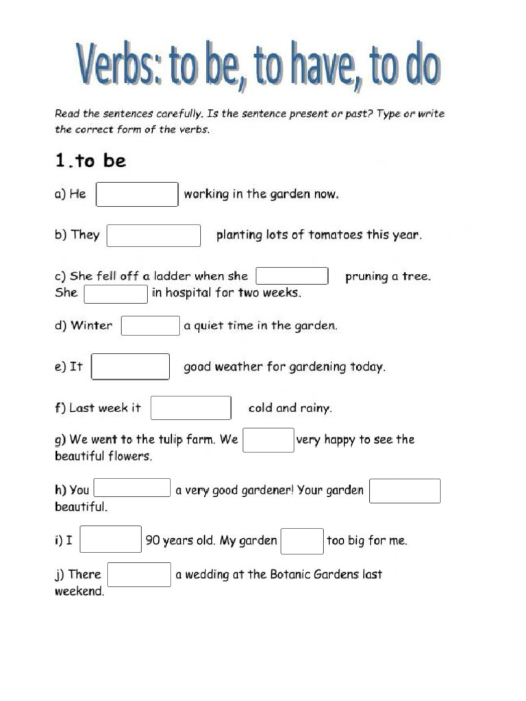 Verb Have Do Be | PDF