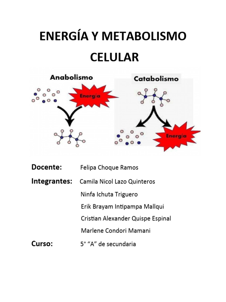 ENERGÍA Y METABOLISMO Celular | PDF | Respiración celular | Dieta y nutrición