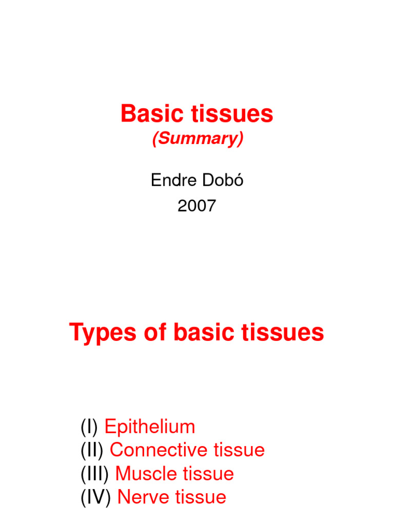 Basic Tissues | PDF | Epithelium | Connective Tissue