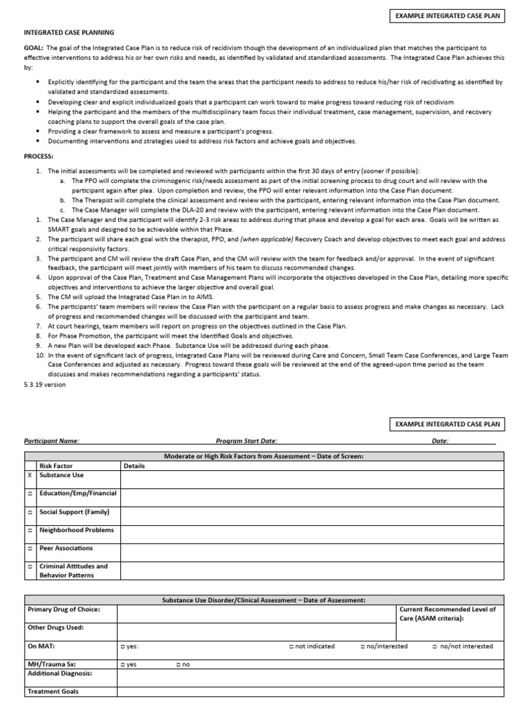 Integrated-Case-Plan-Template DTC | PDF | Goal | Risk