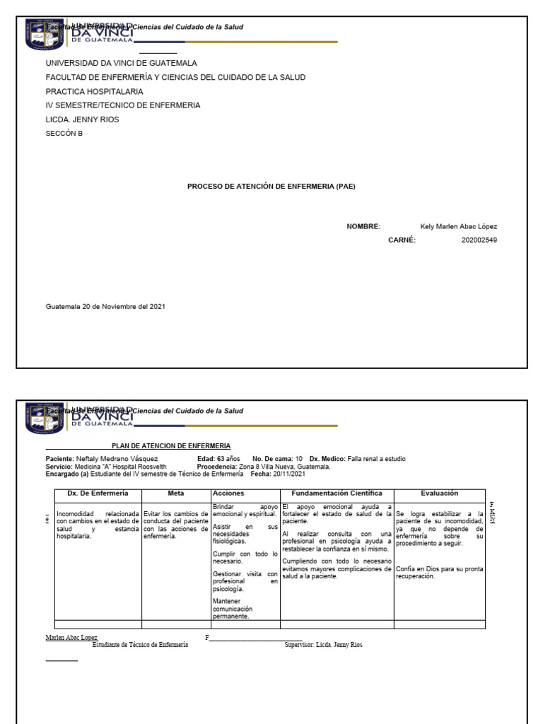Proceso De Atención De Enfermería Pae Pdf Enfermería Hospital