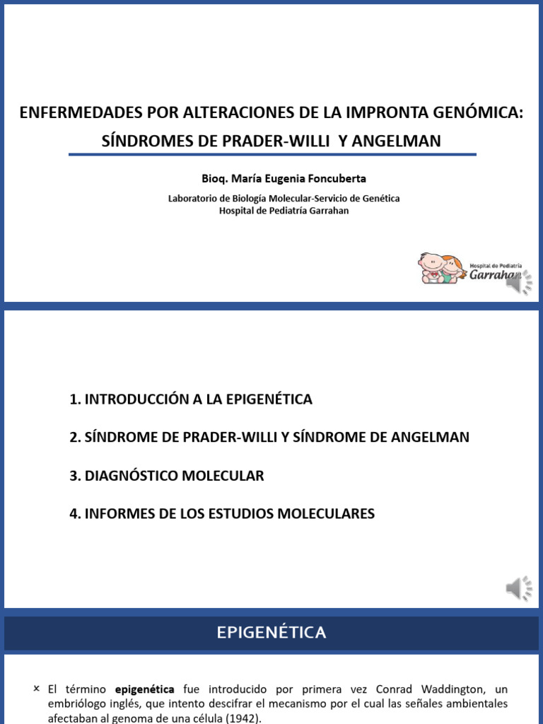 Síndromes de Prader-Willi y Angelman | PDF | Epigenética | Gene
