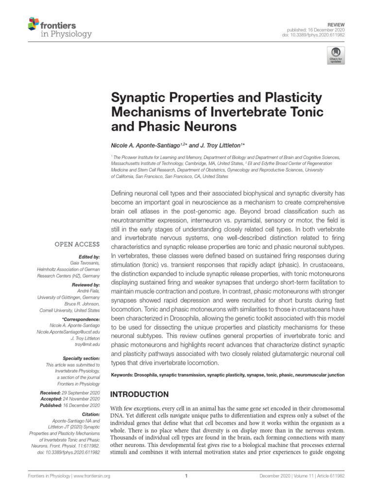 Synaptic Properties and Plasticity Mechanisms of Invertebrate Tonic and Phasic Neurons | PDF ...